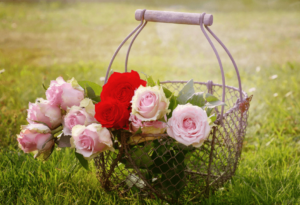 How to Use Selective Color in Photoshop (Steps + Tips)