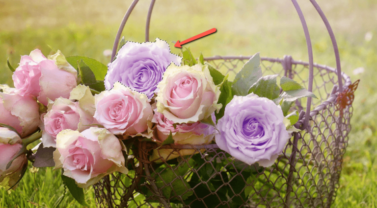 How to Use Selective Color in Photoshop (Steps + Tips)