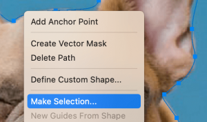 3 Ways to Make a Silhouette in Photoshop (with Steps)