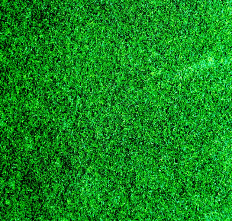 7 Free Grass Repeating Background Patterns for Photoshop