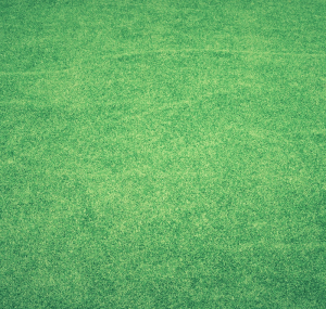 7 Free Grass Repeating Background Patterns for Photoshop