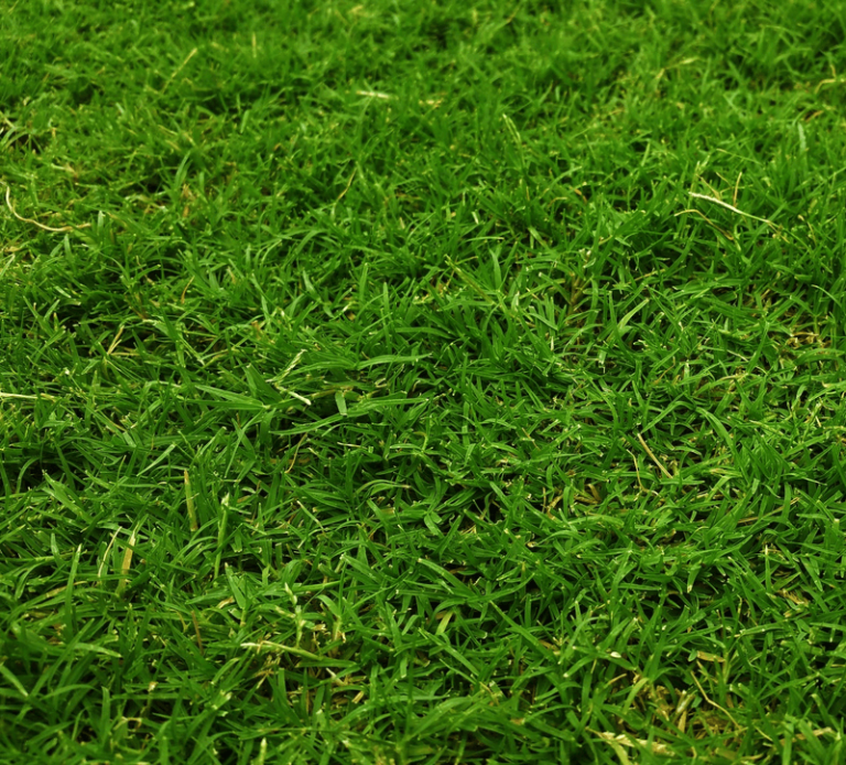 7 Free Grass Repeating Background Patterns for Photoshop