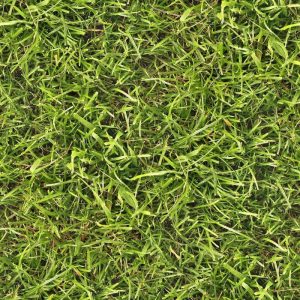 7 Free Grass Repeating Background Patterns for Photoshop