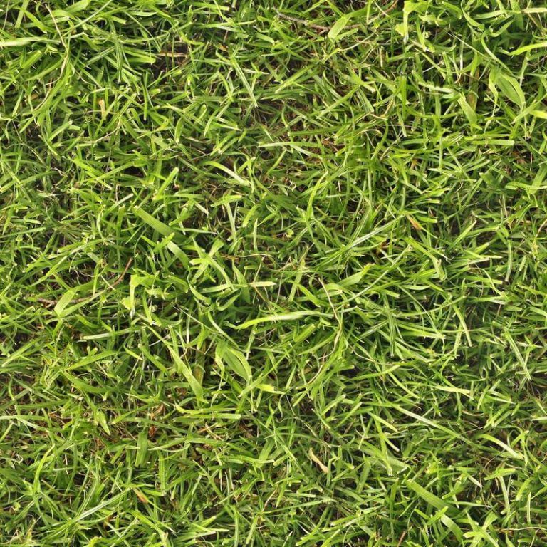 7 Free Grass Repeating Background Patterns for Photoshop