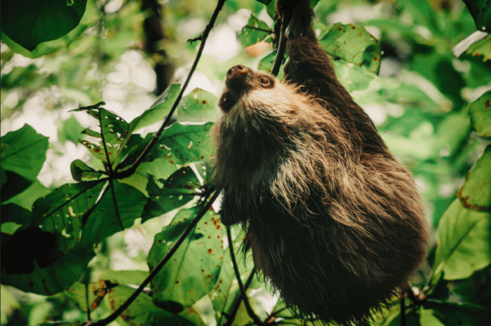 How to Add a Vignette in Photoshop (Step-by-Step Guide)