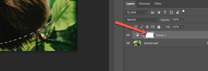 How to Add a Vignette in Photoshop (Step-by-Step Guide)
