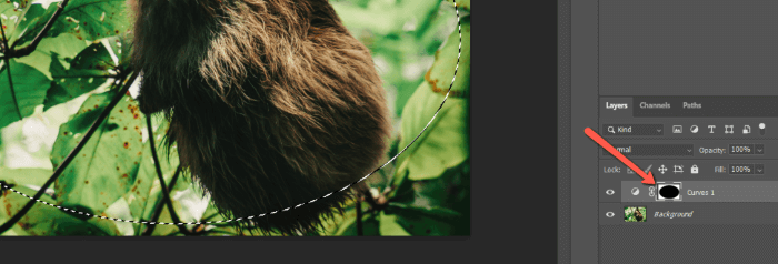 How to Add a Vignette in Photoshop (Step-by-Step Guide)