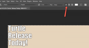 How to Align Text in Photoshop (4 Easy Methods & Tricks)