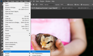 How to Batch/Bulk Edit in Photoshop (3 Simple Steps)