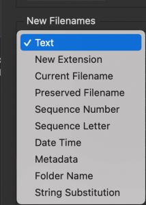 3 Quick & Easy Steps to Batch Rename Photos in Photoshop
