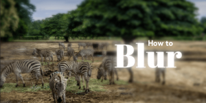 2 Easy Ways to Blur Edges in Photoshop (Step by Step)