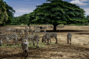 2 Easy Ways to Blur Edges in Photoshop (Step by Step)