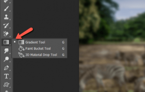 2 Easy Ways to Blur Edges in Photoshop (Step by Step)