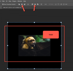 How to Center an Image in Photoshop (4 Quick Steps)