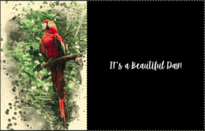 3 Quick & Easy Ways to Center Text in Photoshop