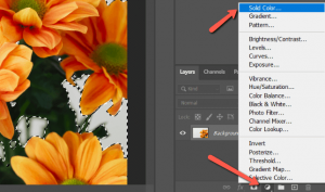 How to Change Background Color in Photoshop (5 Steps)