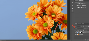 How to Change Background Color in Photoshop (5 Steps)