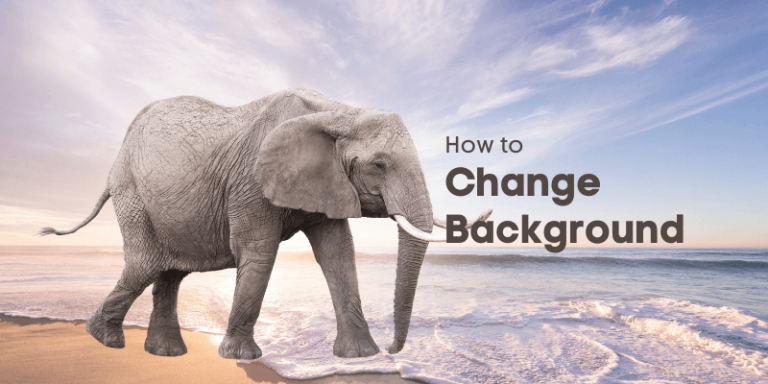 How to Change Image Background in Photoshop (7 Easy Steps)
