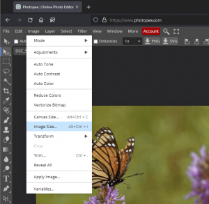 How to Change Resolution of a Picture Without Photoshop