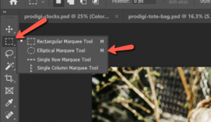How to Circle Crop an Image in Photoshop (4 Easy Steps)