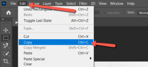 How to Copy and Paste a Selection in Photoshop (4 Steps)