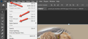 3 Quick Ways to Copy and Paste Layers in Photoshop