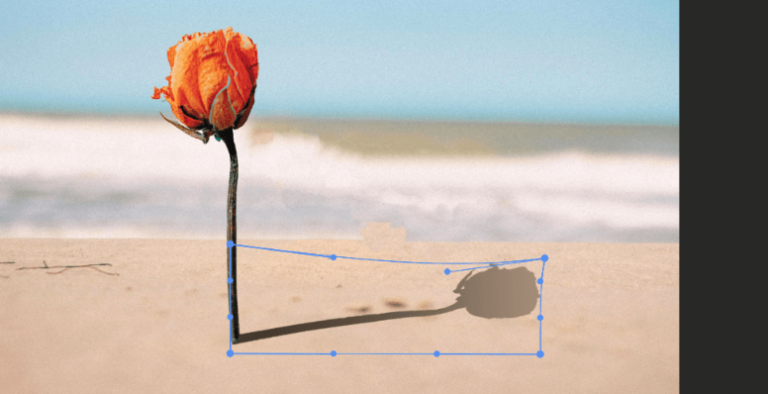 How to Create a Shadow in Photoshop (8 Easy Steps)