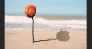 How to Create a Shadow in Photoshop (8 Easy Steps)