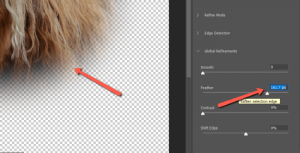 How to Feather a Layer in Photoshop (4 Quick Steps)
