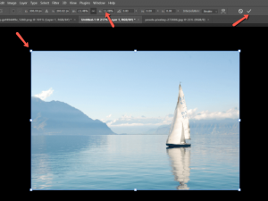 How to Fill Shape with an Image in Photoshop (4 Steps)