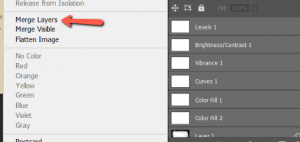2 Quick Ways to Flatten an Image in Photoshop (Tutorial)