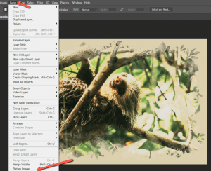 2 Quick Ways to Flatten an Image in Photoshop (Tutorial)
