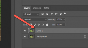 How to Flip an Image in Photoshop (Step-by-Step Guides)