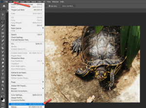 How to Flip a Canvas in Photoshop (Quick Guide & Tips)
