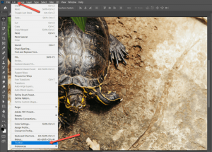How to Get the Toolbar Back in Photoshop (Quick Guides)