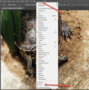 How to Get the Toolbar Back in Photoshop (Quick Guides)
