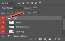 How to Group (or Ungroup) Layers in Photoshop: Quick Steps