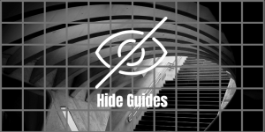 How to Hide Guides in Photoshop (Quick Tips)