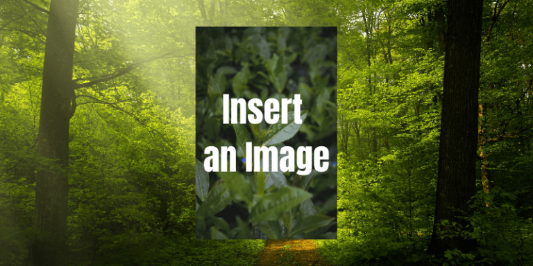 3 Quick Ways to Insert/Add an Image in Photoshop (Guide)