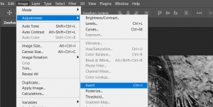 How to Invert Black and White in Photoshop (2 Steps)