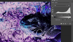 How to Invert an Image in Photoshop (Step-by-Step Guide)