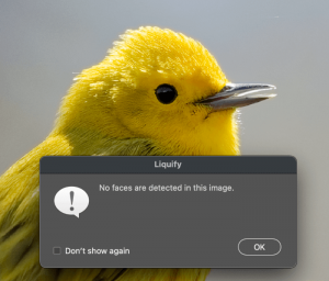 How to Liquify in Photoshop (Easy Step-by-Step Guide)