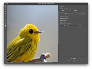 How to Liquify in Photoshop (Easy Step-by-Step Guide)