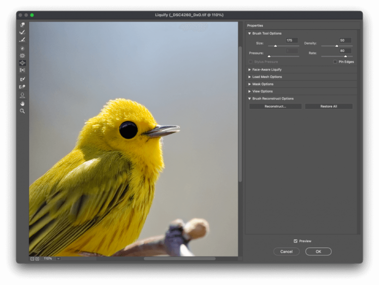 How to Liquify in Photoshop (Easy Step-by-Step Guide)
