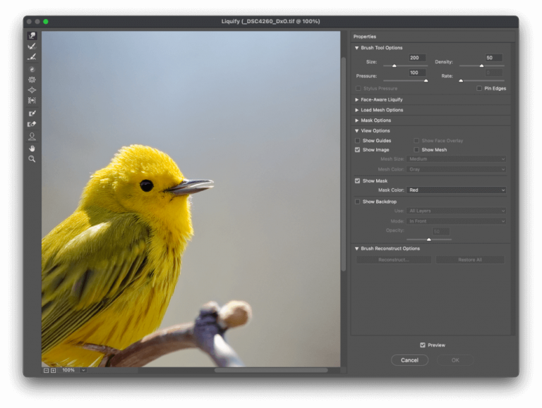 How to Liquify in Photoshop (Easy Step-by-Step Guide)