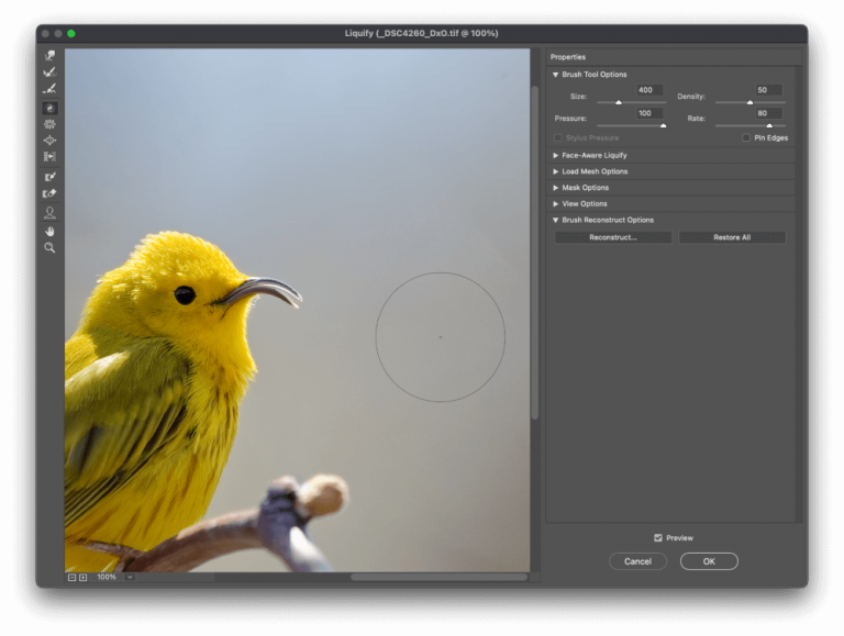 How to Liquify in Photoshop (Easy Step-by-Step Guide)