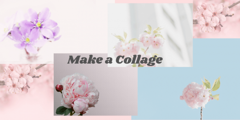 How to Make a Collage in Photoshop (6 Detailed Steps)