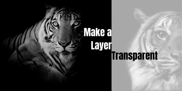 How to Make a Layer Transparent in Photoshop (Quick Tutorials)