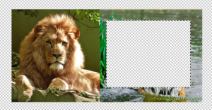 How to Make a Layer Transparent in Photoshop (Quick Tutorials)