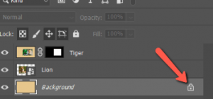 How to Make a Layer Transparent in Photoshop (Quick Tutorials)